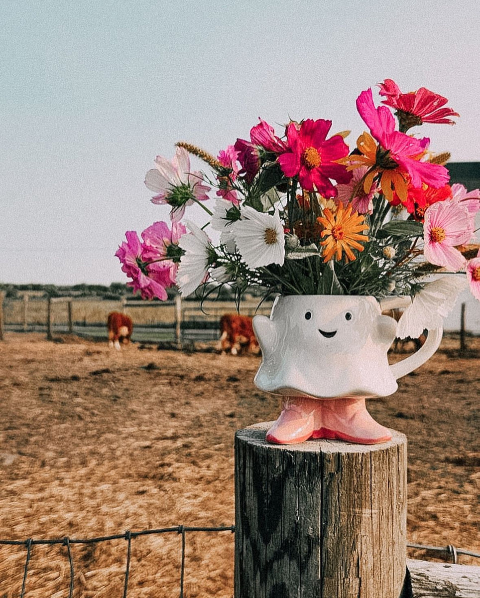 Boot Boo-Quet – Kamins Farm Sanctuary